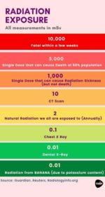 Fact Check: Are Bananas radioactive? - THIP Media