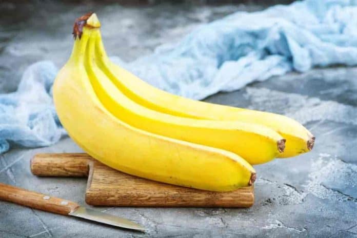 Fact Check: Are Bananas radioactive? - THIP Media