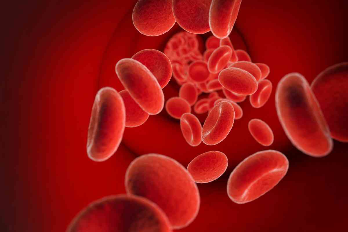 What Is The Life Expectancy Of People With Thalassemia THIP Media