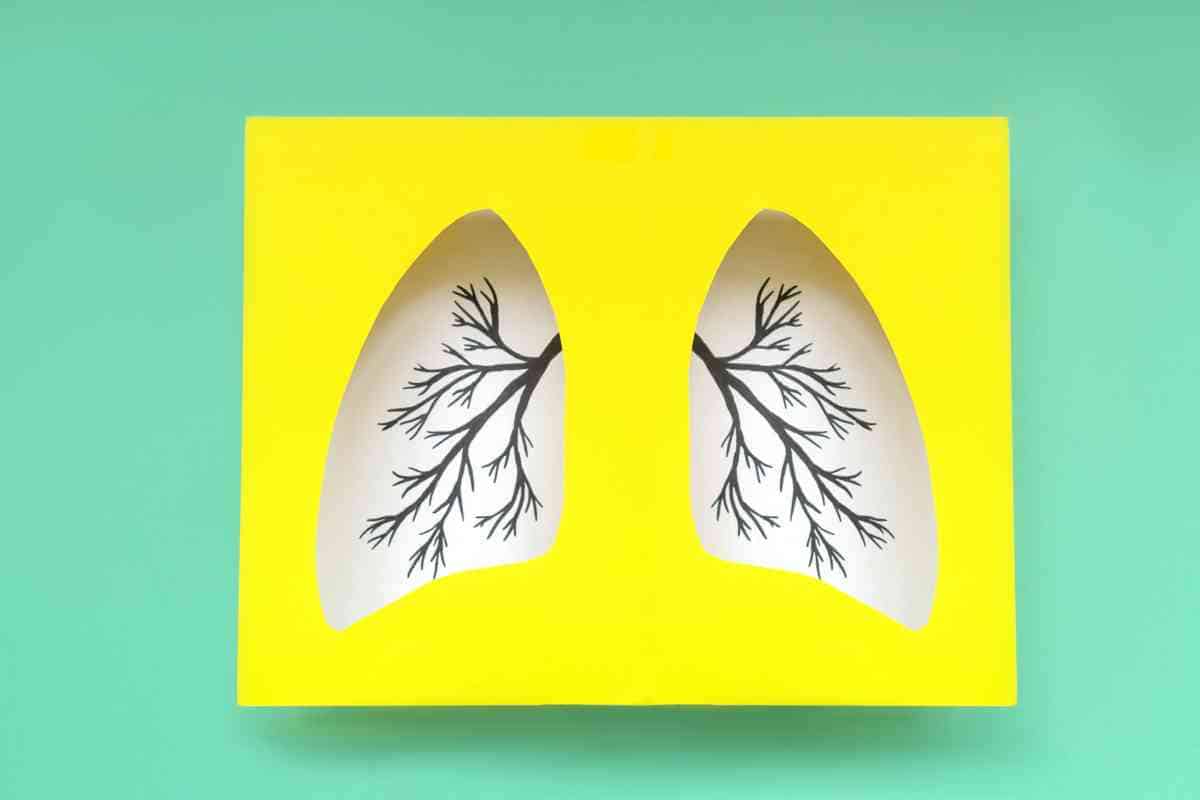 Pneumonia Symptoms Causes Types Diagnosis Treatment Prevention Pneumonia Symptoms Causes Types Diagnosis Treatment Prevention