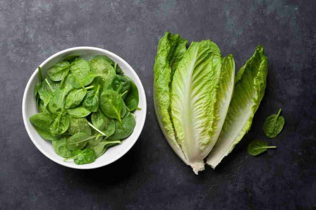 Does a chemical make stale vegetables look fresh? THIP Media