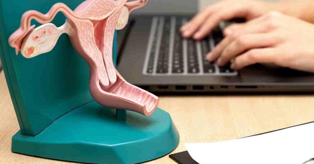 What happens when uterus is removed? - THIP Media