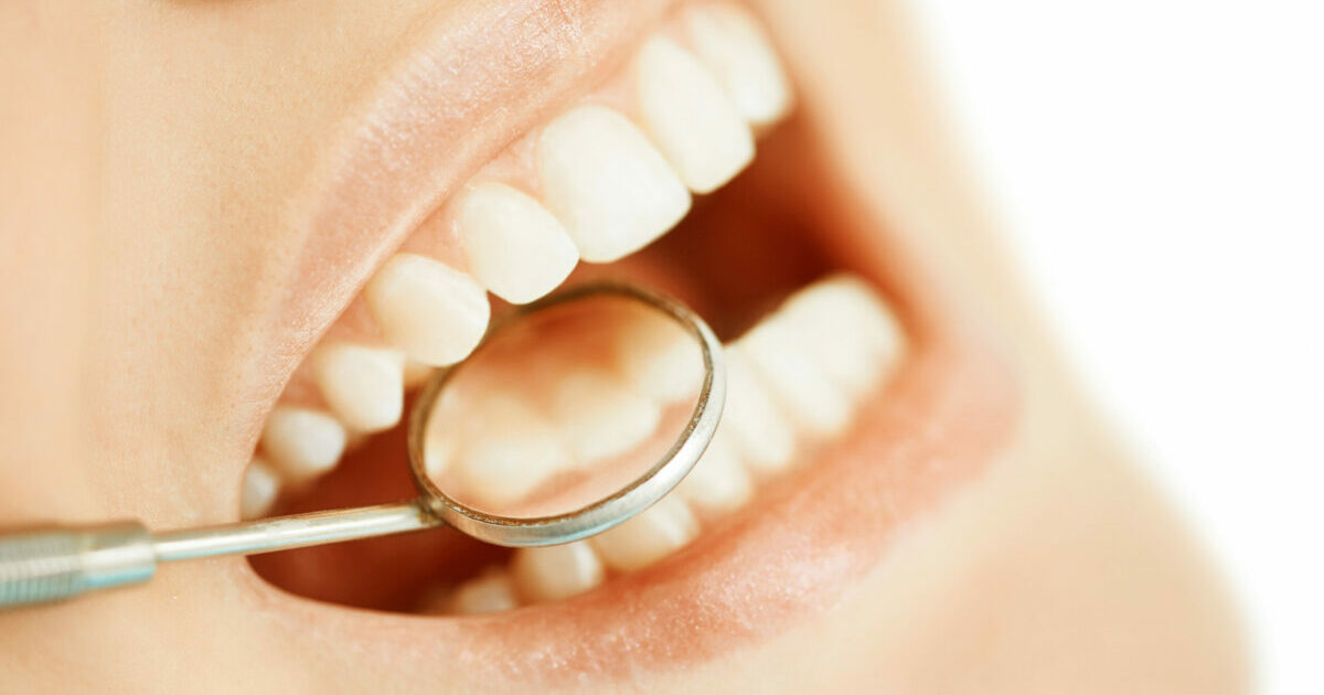 What are the pointed teeth in the buccal cavity called? - THIP Media