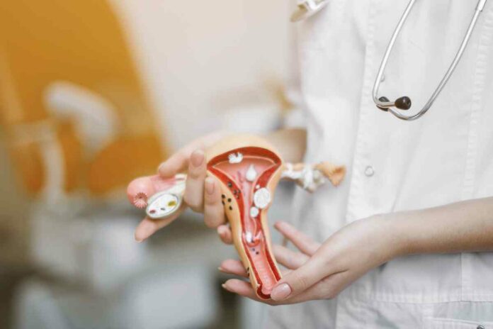 Urinary Tract Infection (UTI): Symptoms, Causes, Treatment & Prevention ...