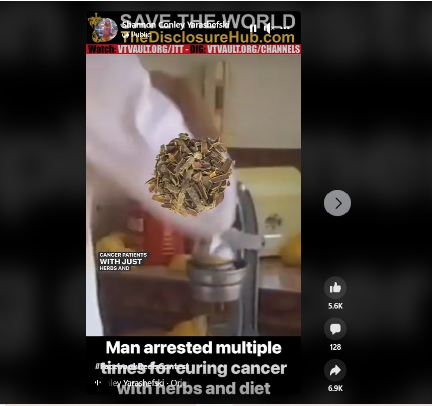 Fact Check: Can Hoxsey Herbal Therapy cures cancer naturally? - THIP Media