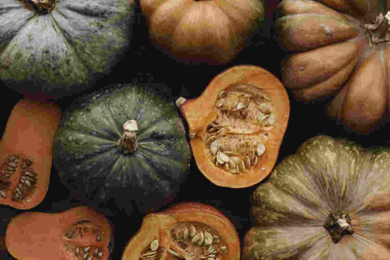 Fact Check: Can Pumpkin Juice Cure Cancer Cells? - THIP Media