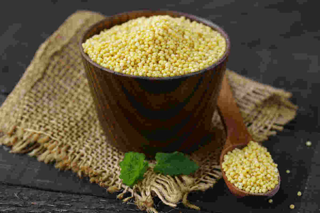 Can fermented millet cure liver and kidney problems? - THIP Media