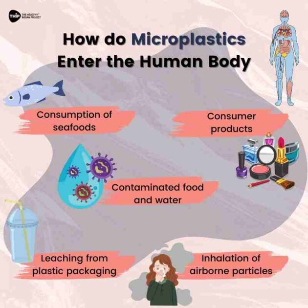 How can microplastic enter our body? - THIP Media