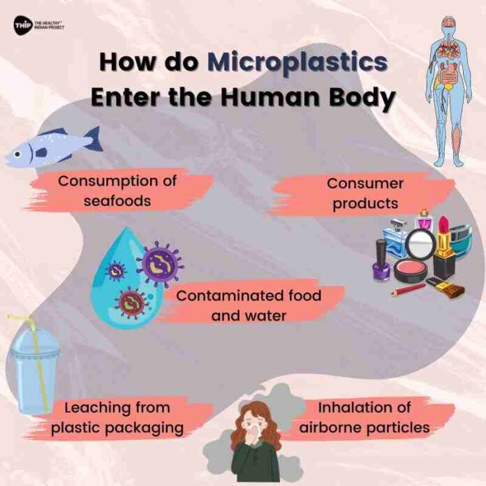 How can microplastic enter our body? - THIP Media