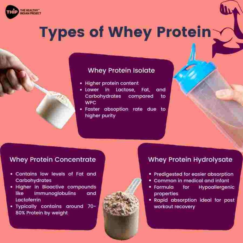 The Science Behind Whey Protein- THIP Media