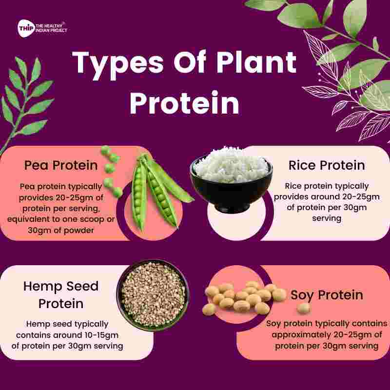 Plant protein: Here's what you should know- THIP Media
