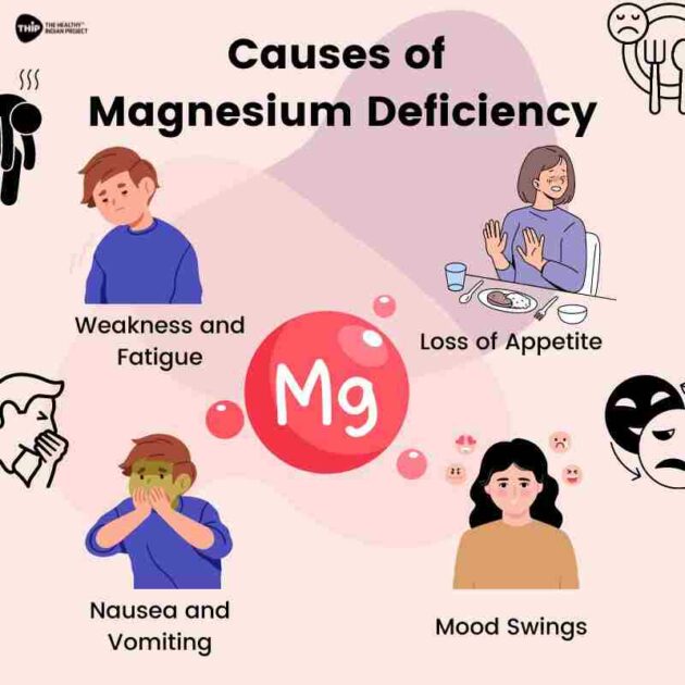 Magnesium in body: All you need to know- THIP Media