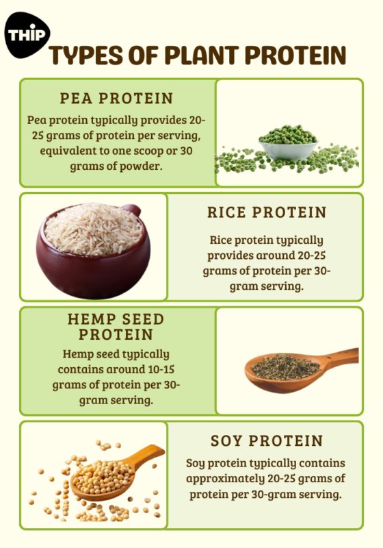 Plant protein: Here's what you should know- THIP Media