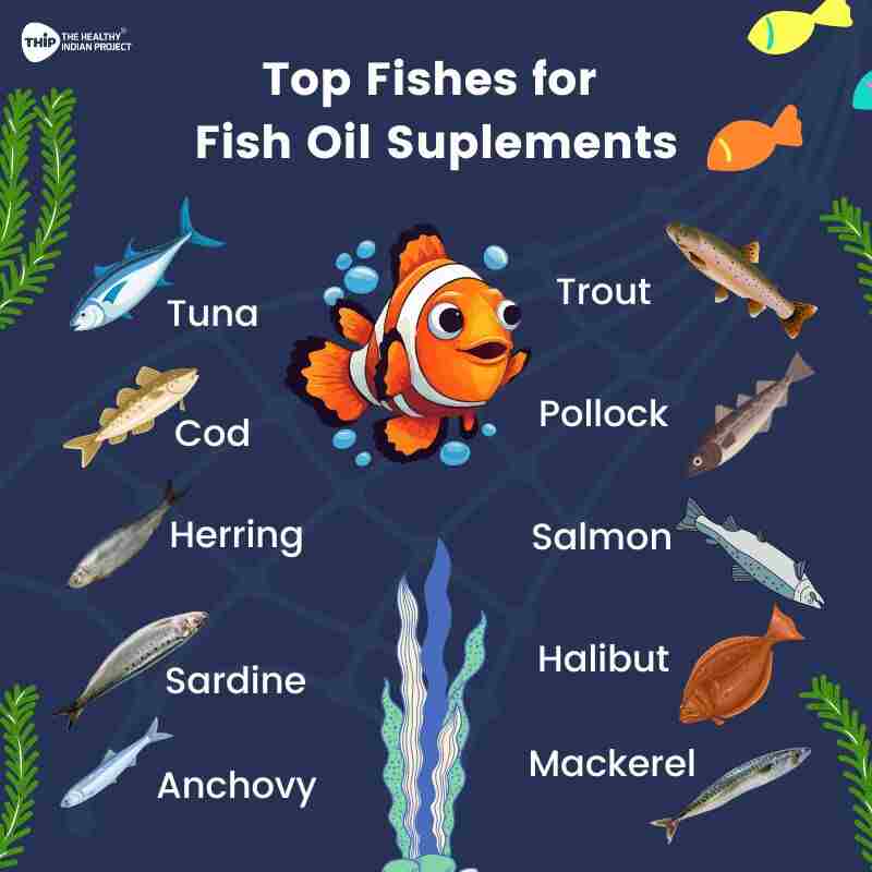 Are fish oil supplement good for you?- THIP Media