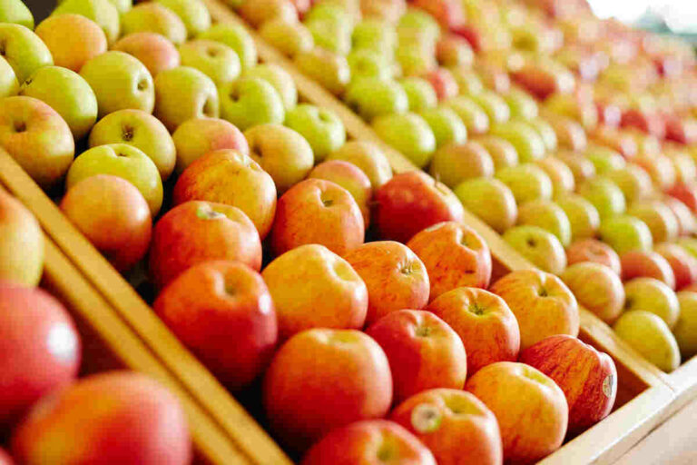 Types of apples in India: Health benefits and more- THIP Media