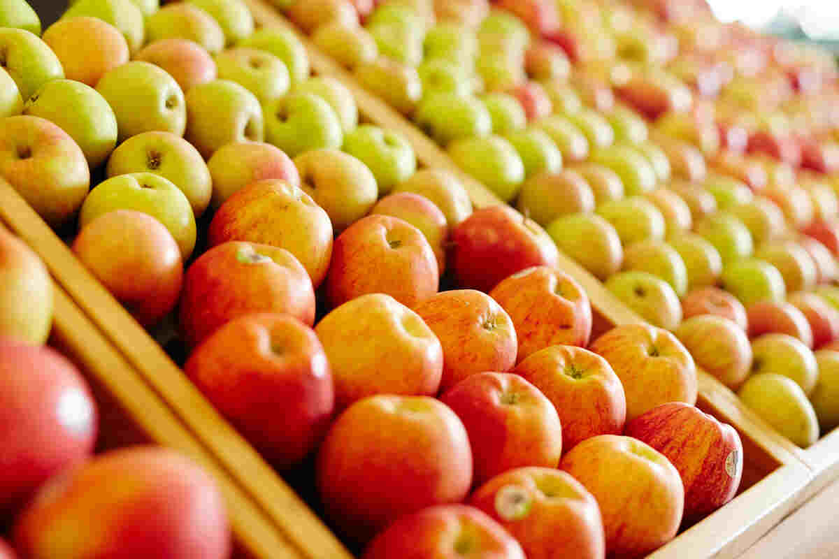 Types of apples in India: Health benefits and more- THIP Media