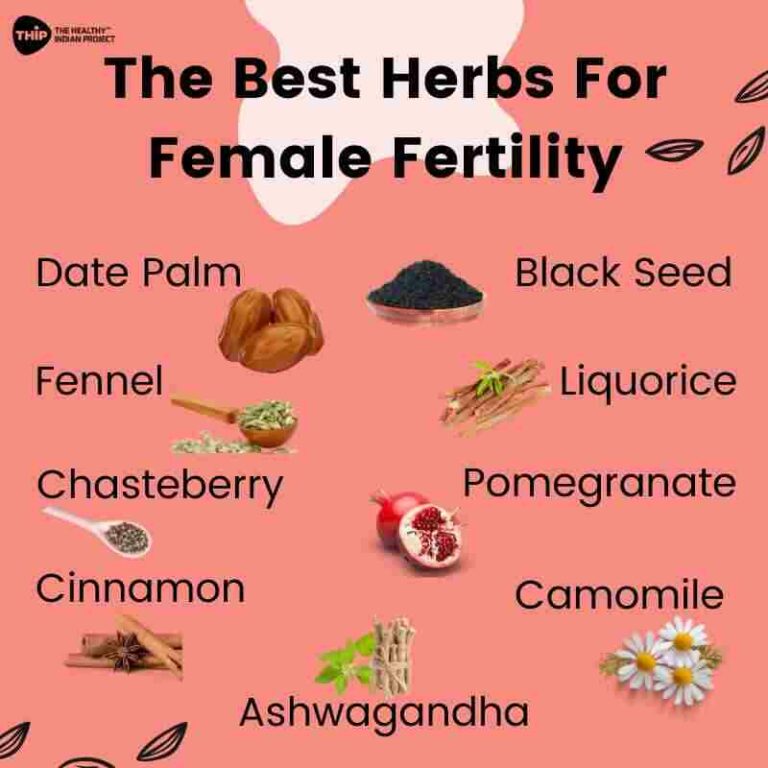 What are the best herbs for female fertility?- THIP Media