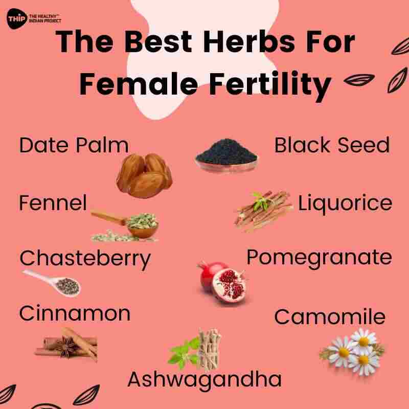 What Are The Best Herbs For Female Fertility Thip Media