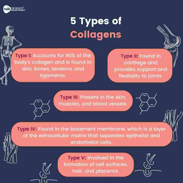 What are the benefits of collagen?- THIP Media
