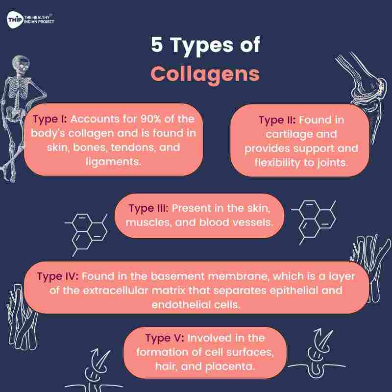 What are the benefits of collagen?- THIP Media