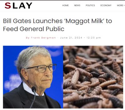 Has Bill Gates launched maggot milk for human consumption?