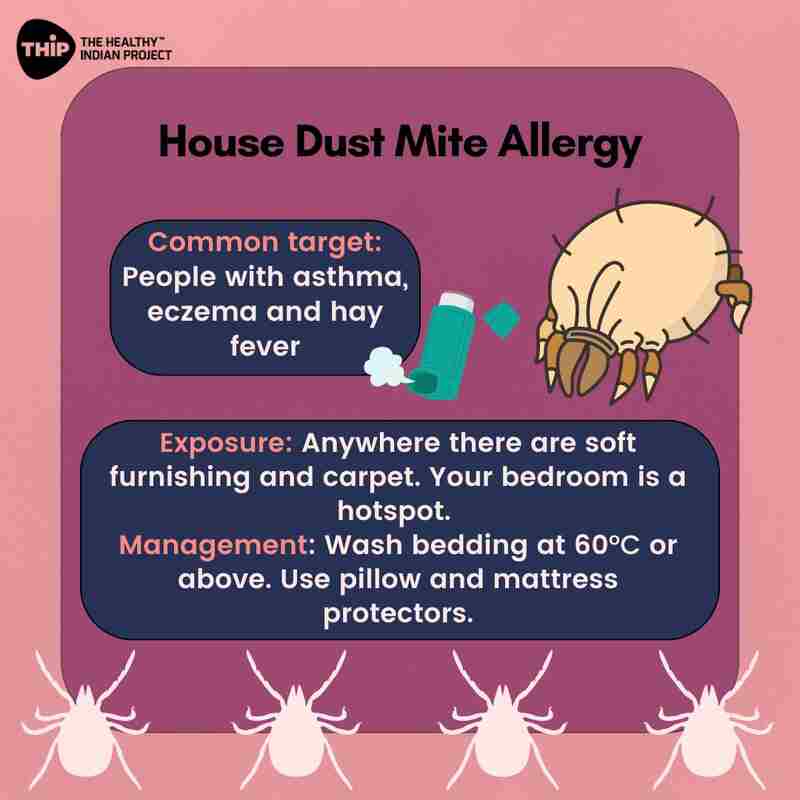 Here's what you need to know about house dust mite allergy