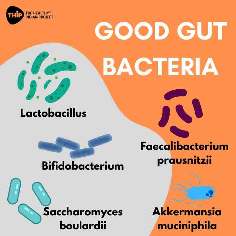 Why are good bacteria in stomach important: Gut microbiome