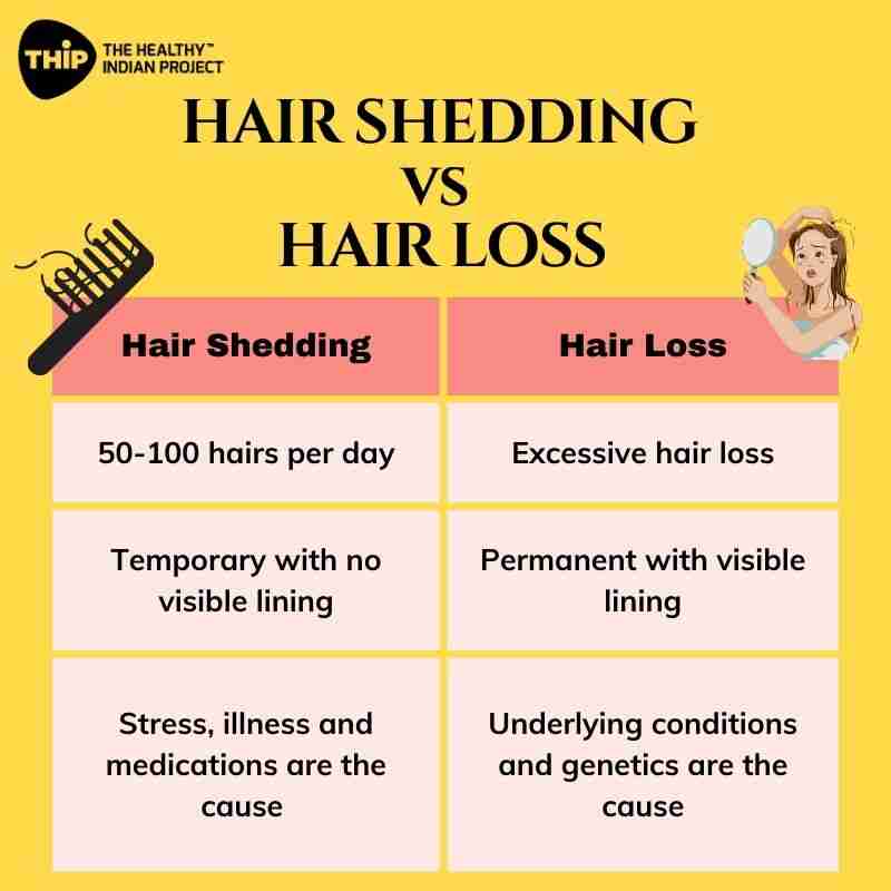 Average hair loss per day: What is normal?- THIP Media