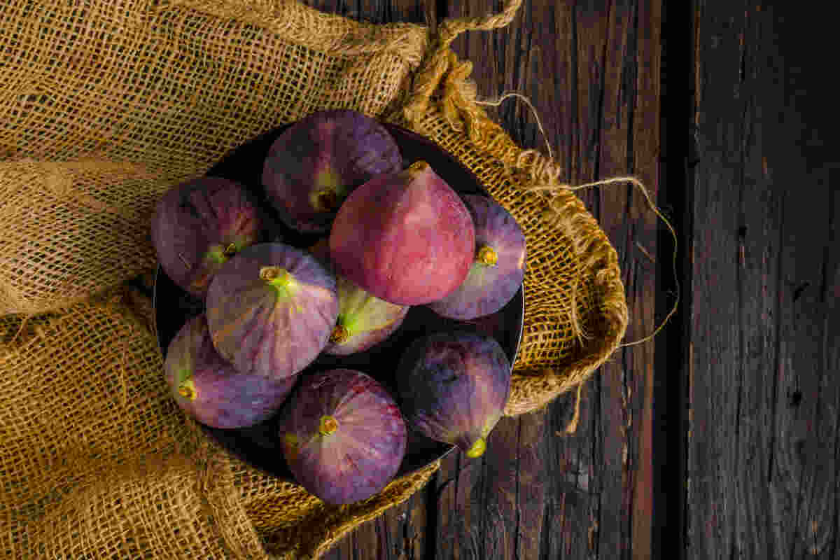 Do figs before bed promote better sleep?- THIP Media