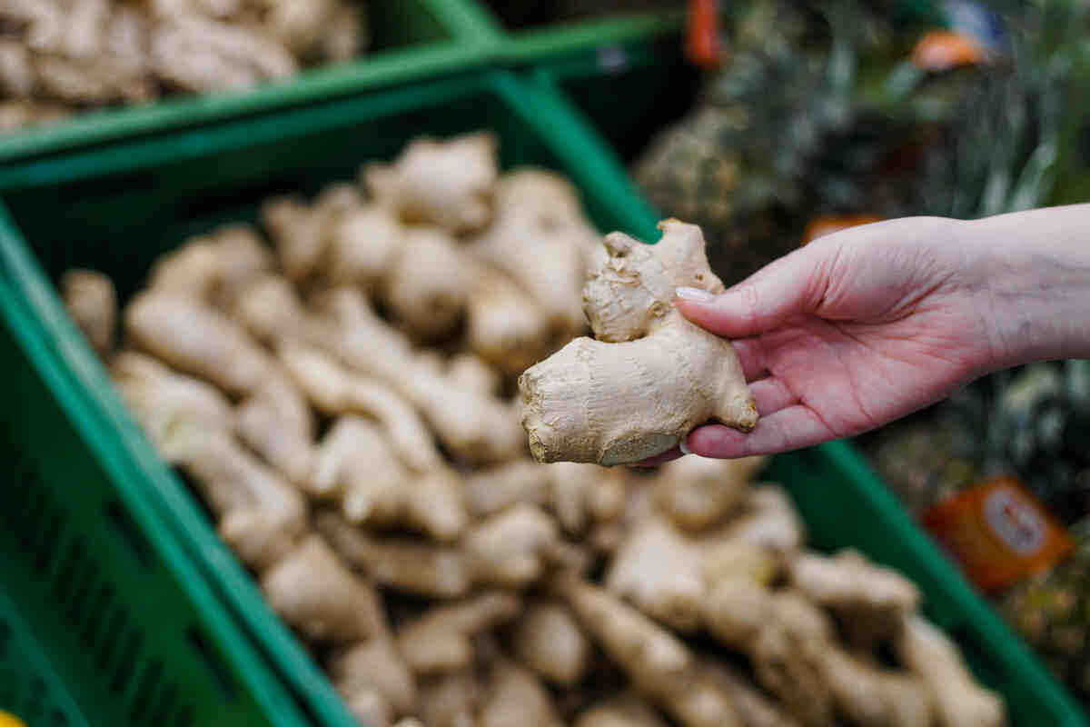 How much ginger is safe to consume?- THIP Media