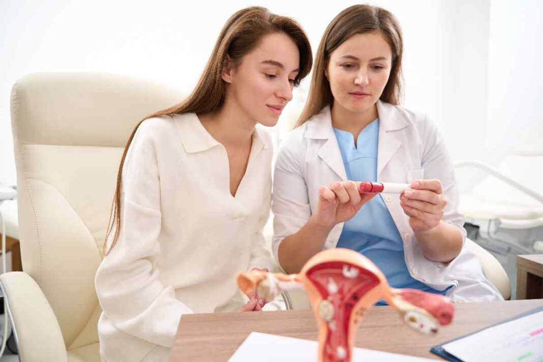 How do fallopian tubes support reproduction? - THIP Media