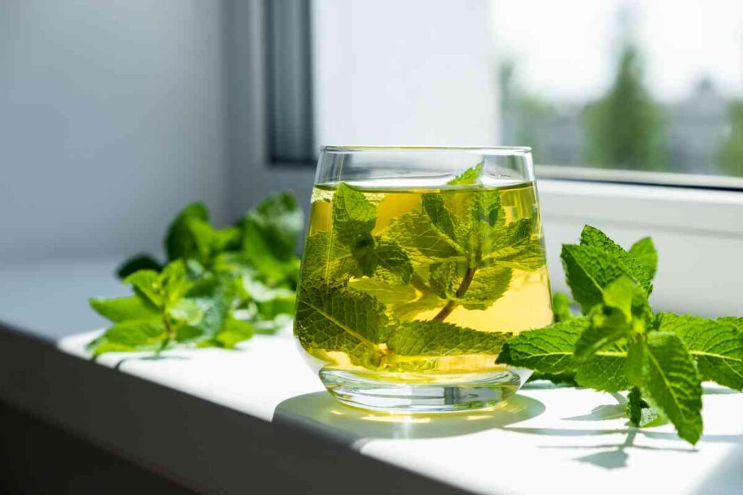 Fact Check: Does pudina (mint) cleanse the liver?