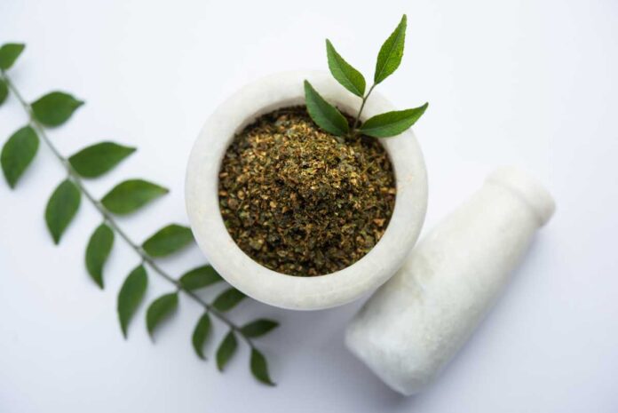 Fact Check: Can curry leaves solely manage extensive hair fall?
