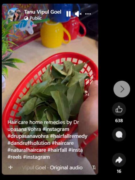 Fact Check: Can curry leaves solely manage extensive hair fall?